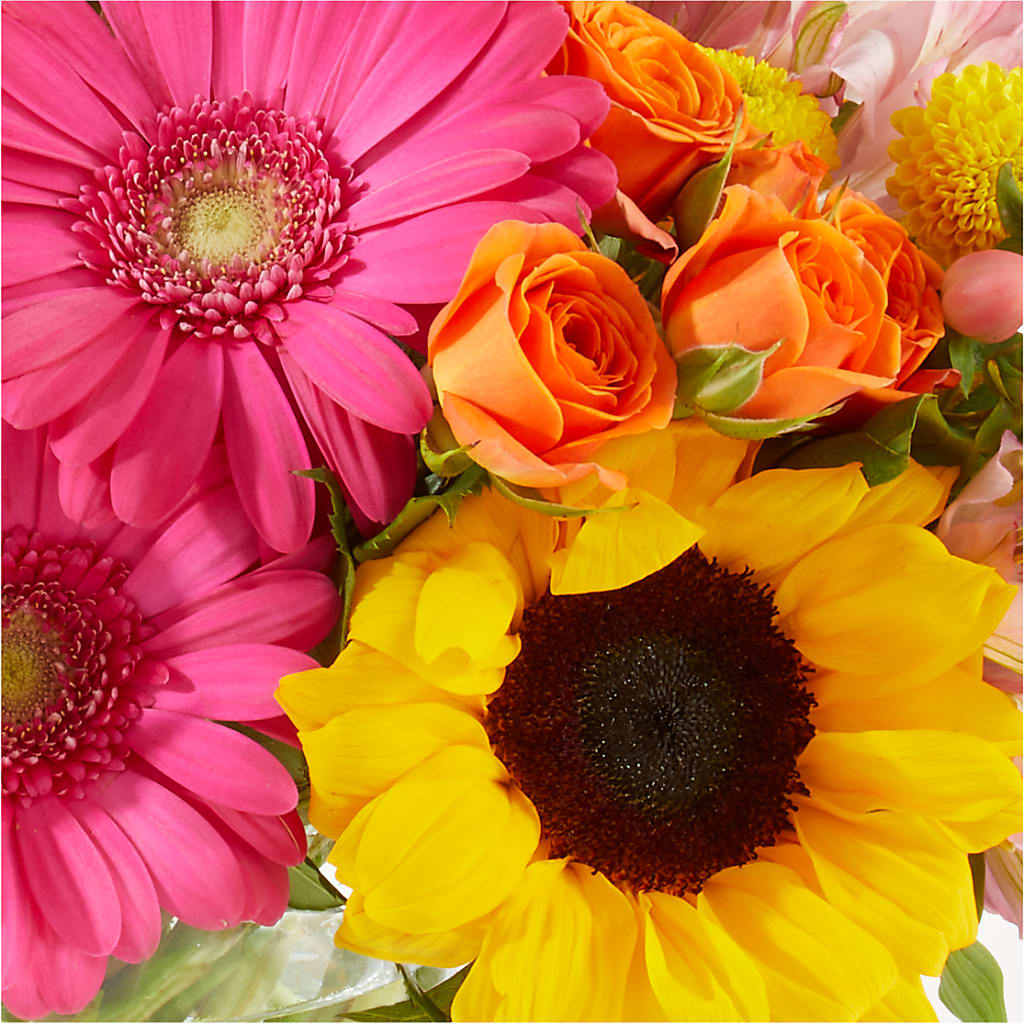 Bronx Florist | Same Day Flower Delivery by Columbia Florist